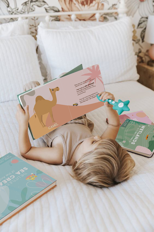 Magic Carpet Discoveries – MagicCarpetDiscoveries